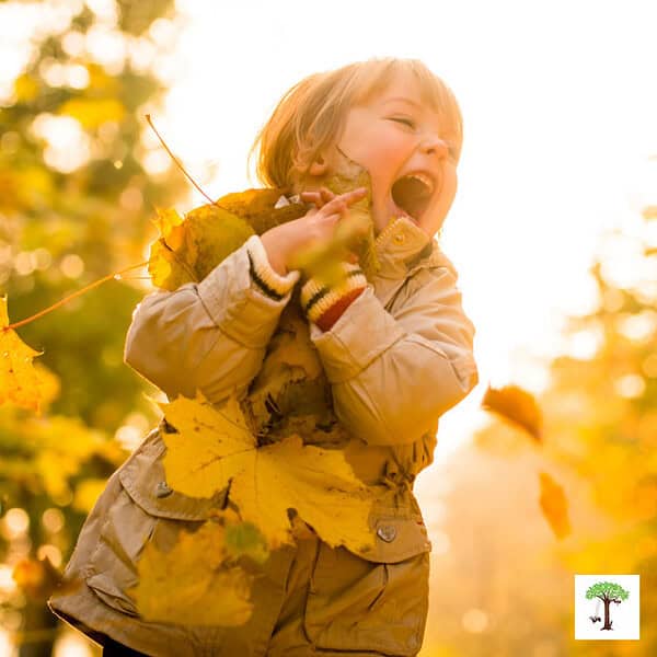 Fall Leaves Counting Games: Catch and Count Falling Leaves