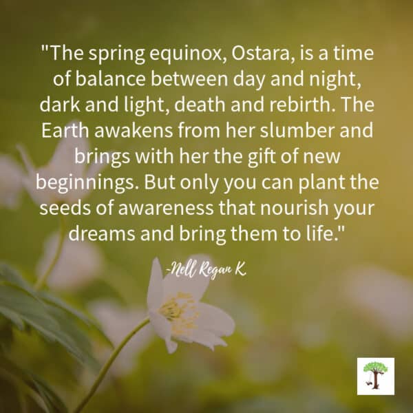 Fun Spring Equinox Celebration Ideas, Rituals, and Traditions