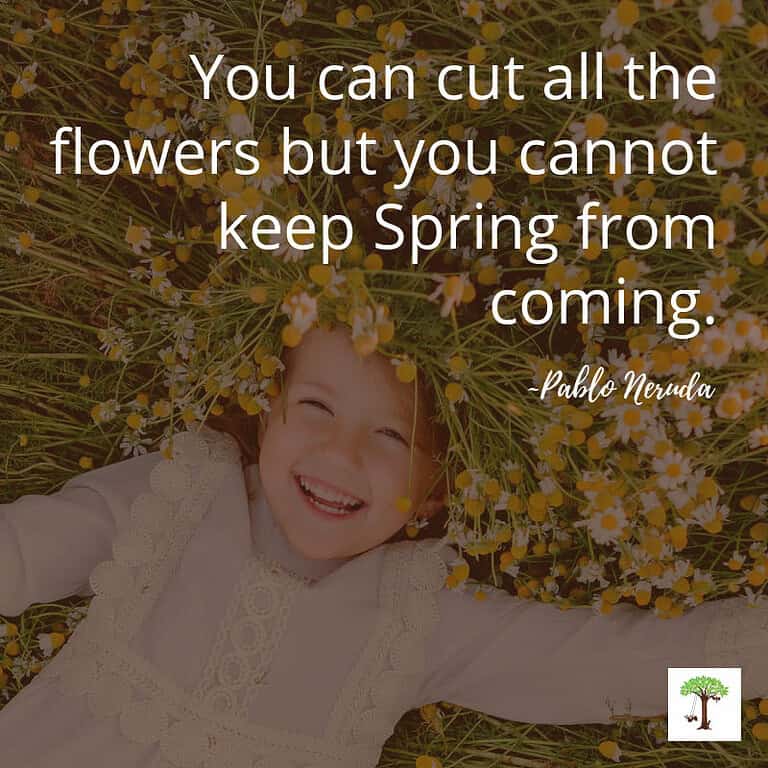 Signs of Spring: Subtle Clues that Tell You Spring is Near or Here!