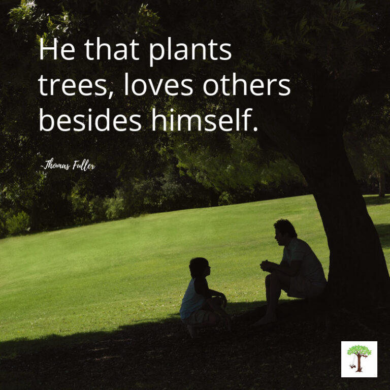 How to Plant a Tree for Arbor Day, Earth Day or Any Day! - Rhythms of Play
