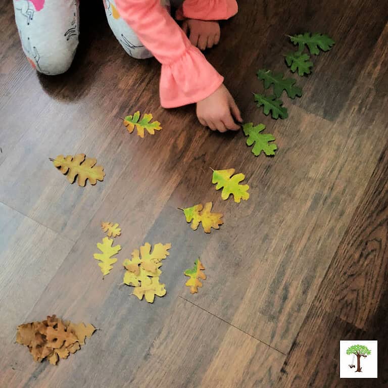 Outdoor Fall Leaf Activities for Kids: 20 Ways to Play with Leaves